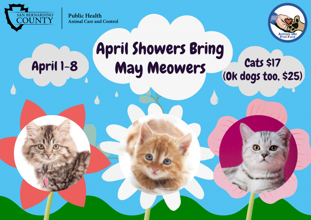 Animal Care and Control