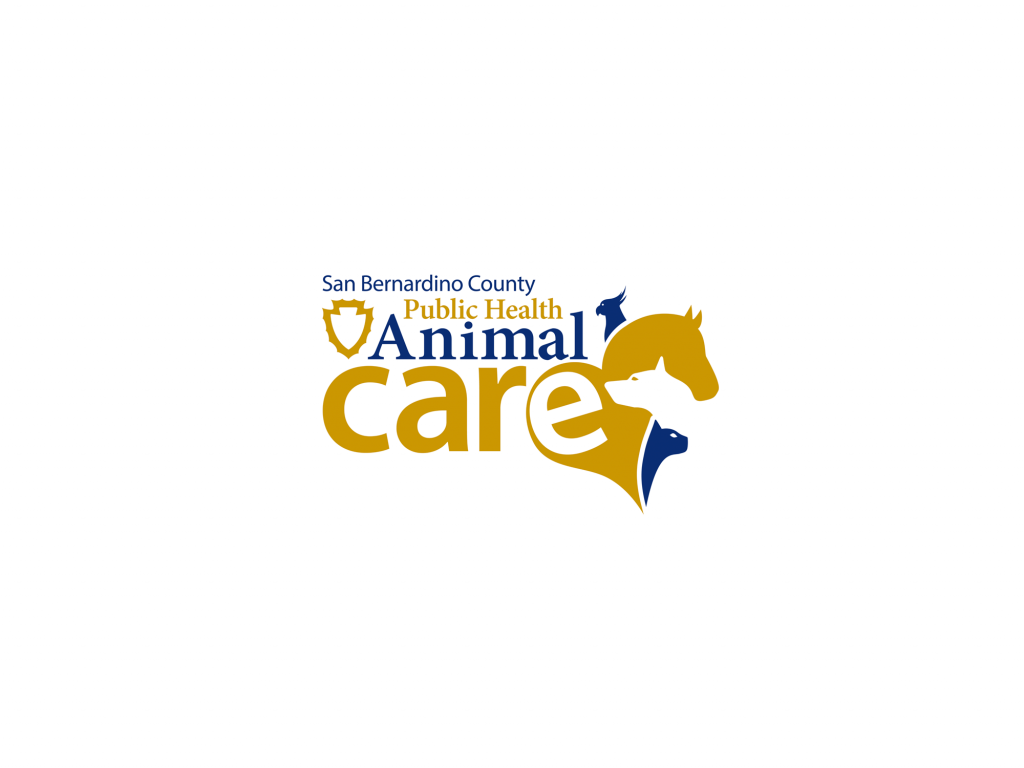 About Animal Care – Animal Care